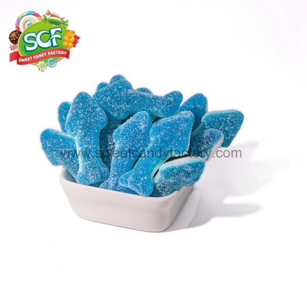 Animal blue and white shark shaped gummy candy - sweetcandyfactory